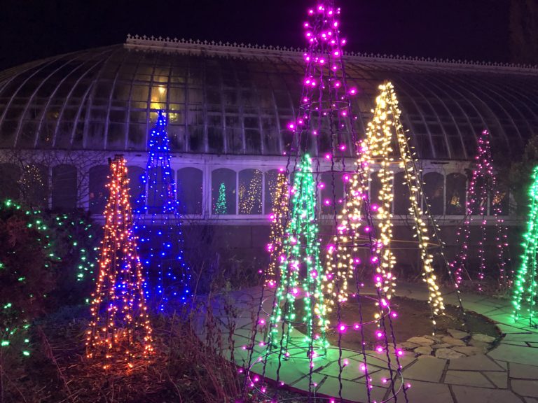 Let It Glow Light Show – Phipps 2018 - Robin O'Neal Smith