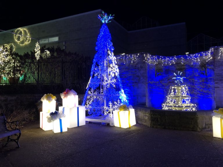 Let It Glow Light Show – Phipps 2018 - Robin O'Neal Smith